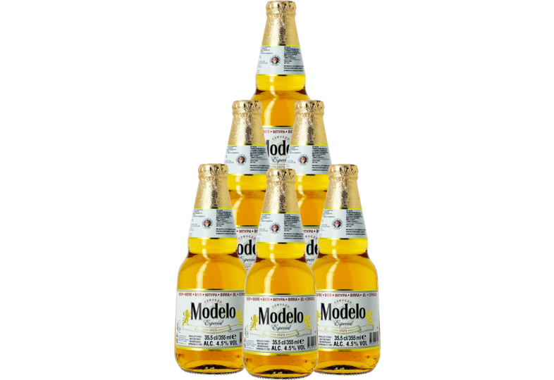 Pack 6 Modelo Especial - The Place 2 Beer